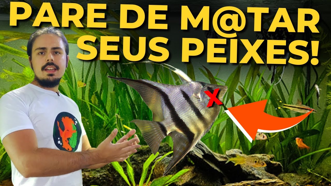 🔴POR QUE OS PEIXES DEFINHAM ATÉ PARTIREM PARA O OUTRO MUNDO? |Mr. Betta| - Peixemania