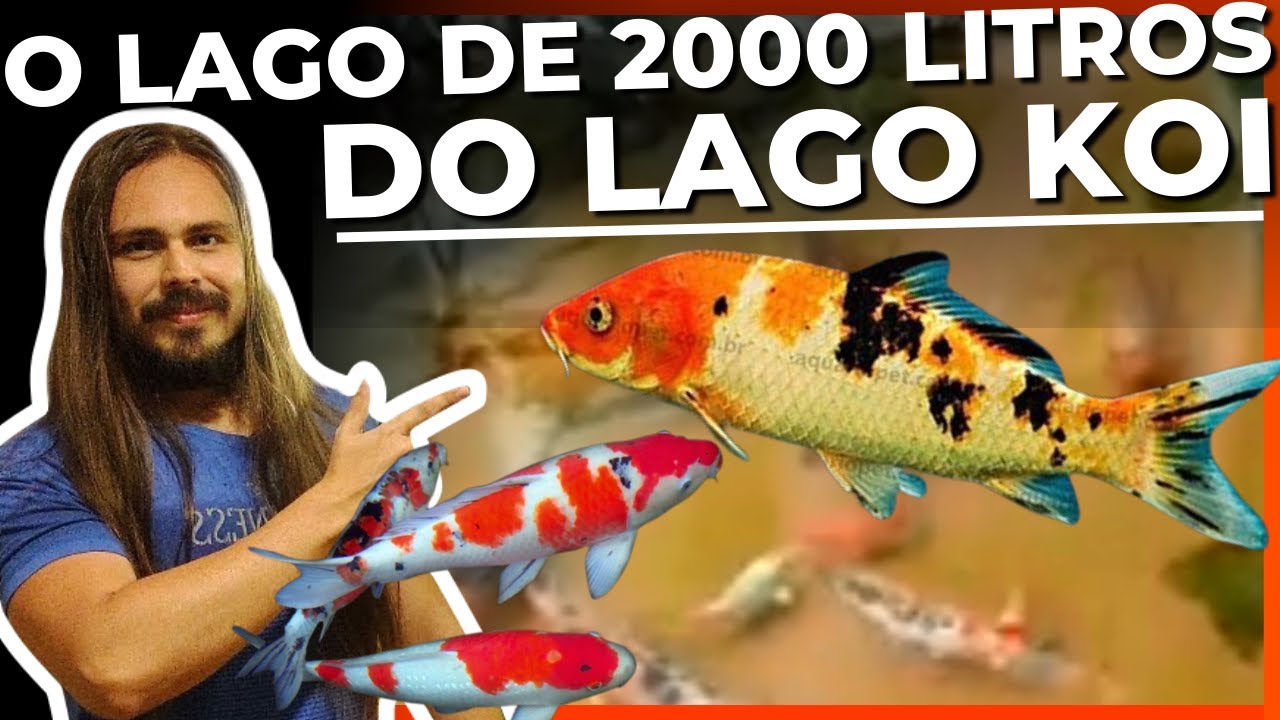 🔴O LAGO DE 2.000 LITROS DO INSCRITO LAGO KOI ( CONHECENDO OS AQUÁRIOS ...