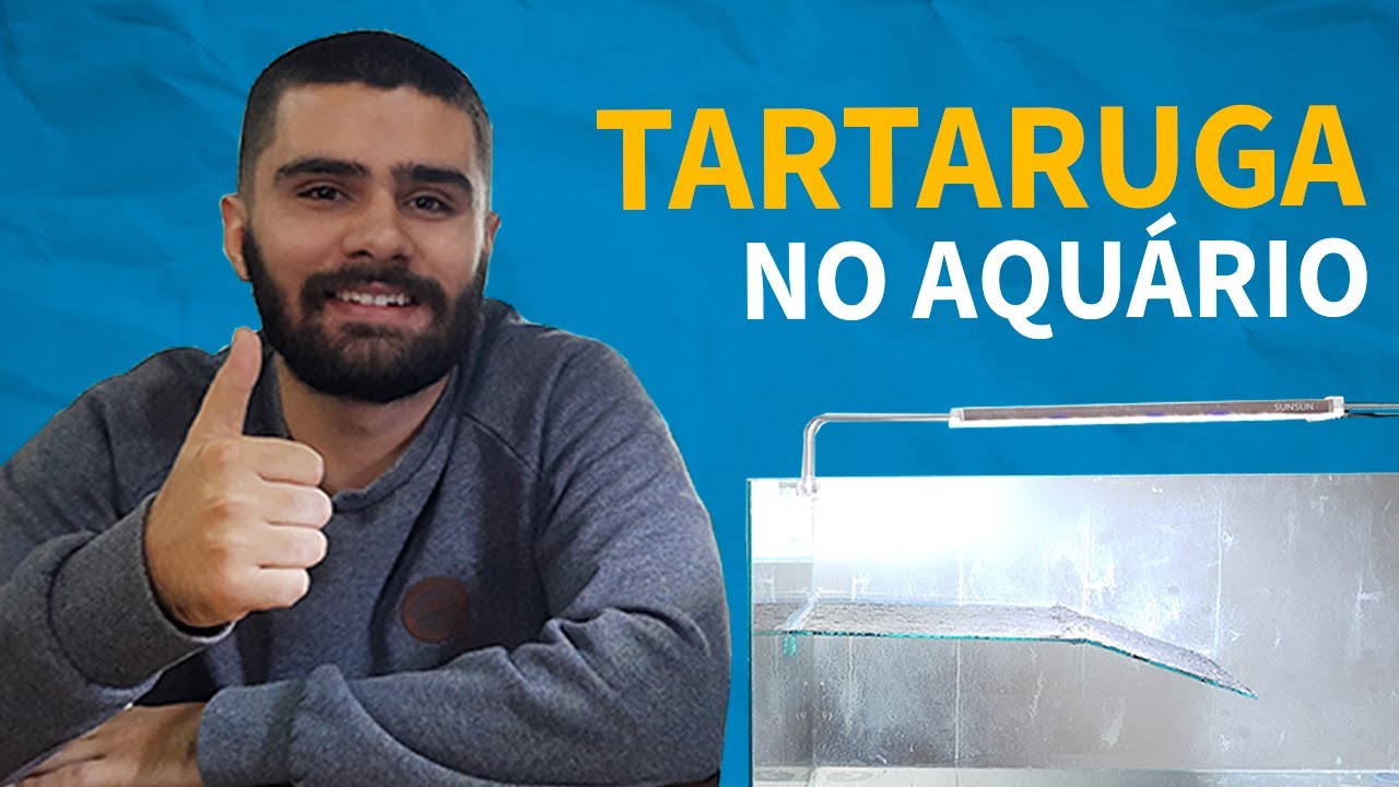 COMO MONTAR um Aquaterrário para TARTARUGAS e outros animais. - Peixemania