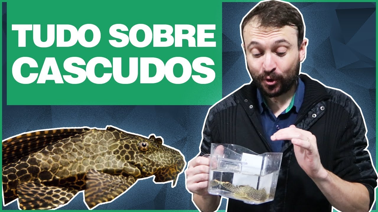 TUDO que você precisa saber sobre PEIXE CASCUDO! [Mais um tour pelas ...