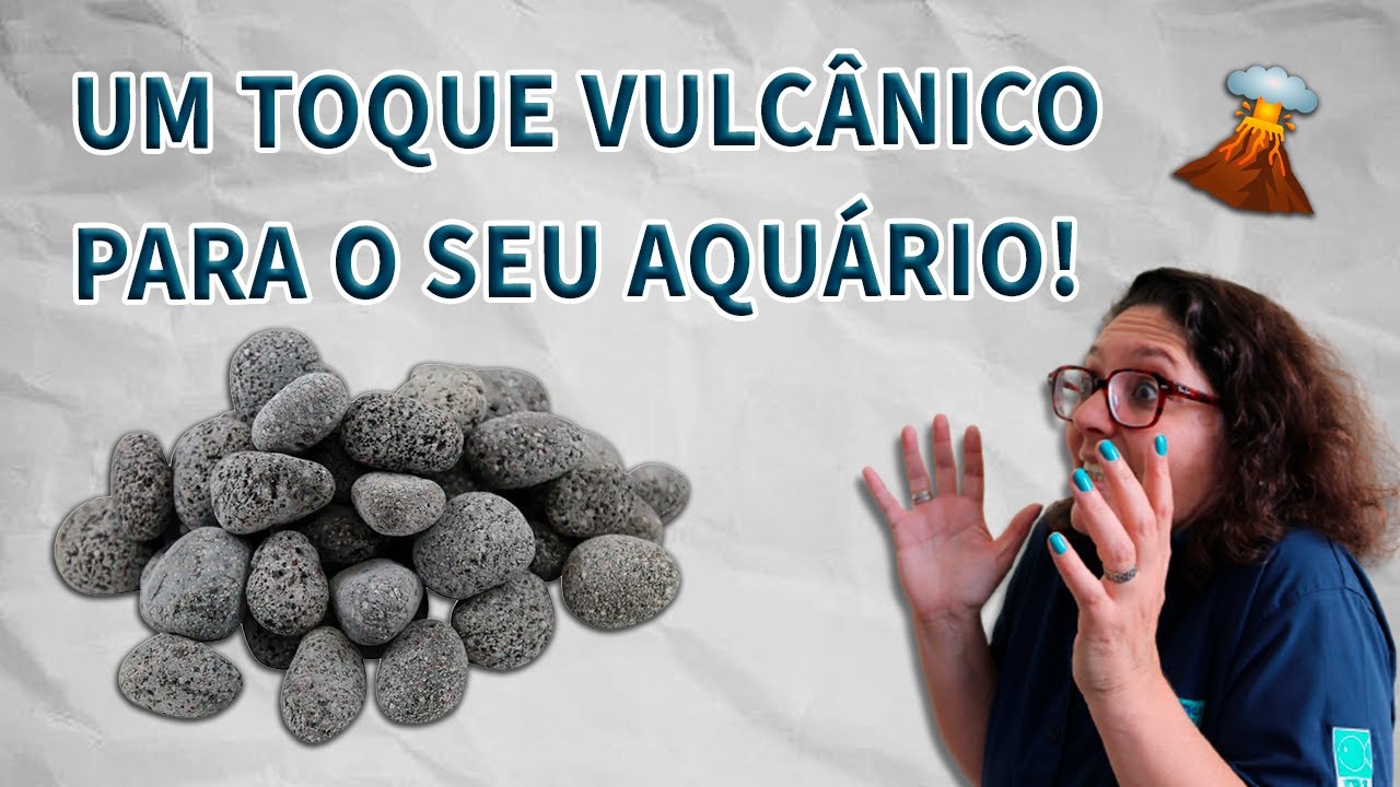 CHEGARAM AS BLACK PEBLES - TENHA SEU AQUARIO MAIS ESCURO COM ESSAS ...